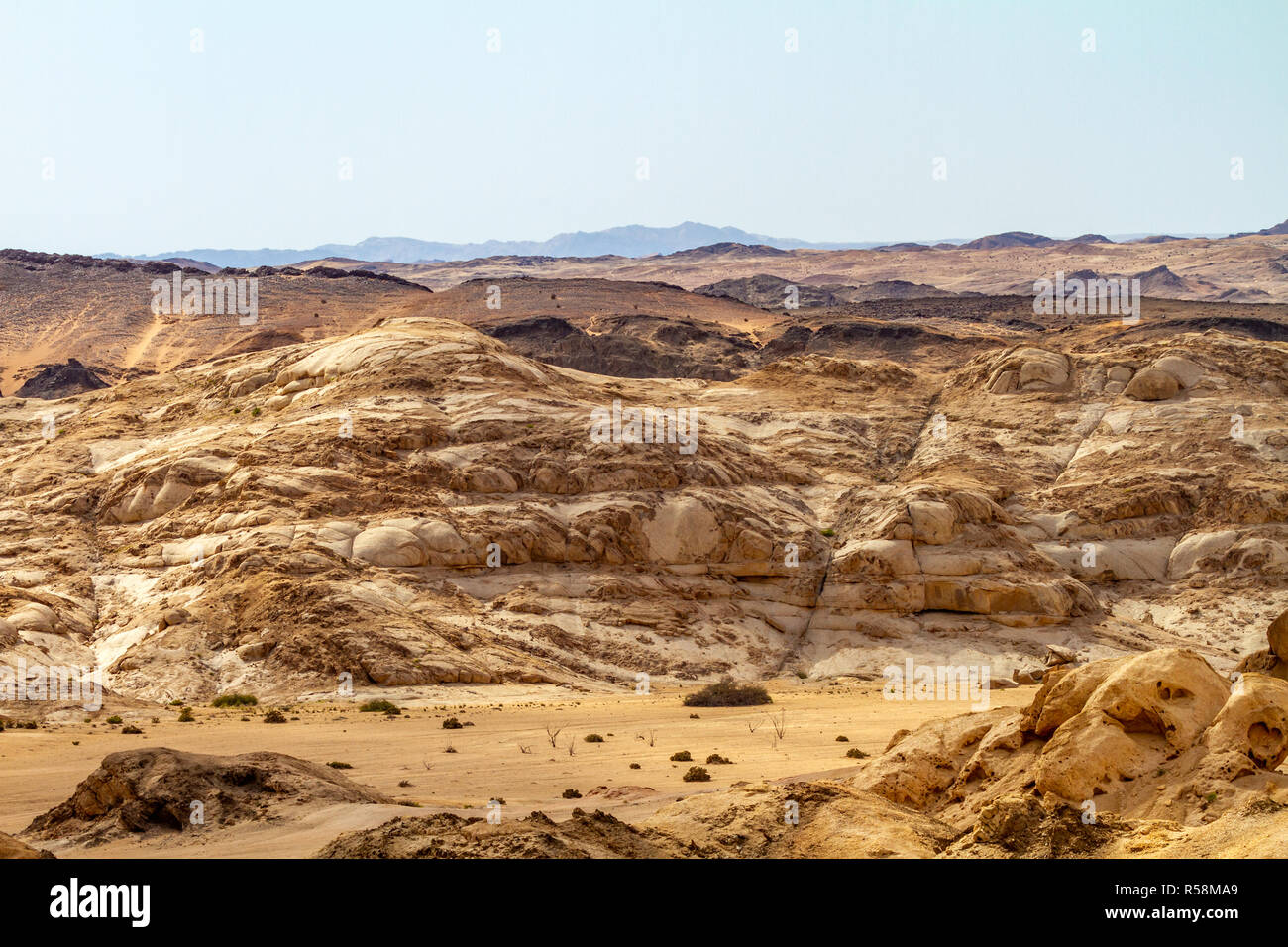 Desolation with only a few hardy plants in the arid Namib desert on the ...