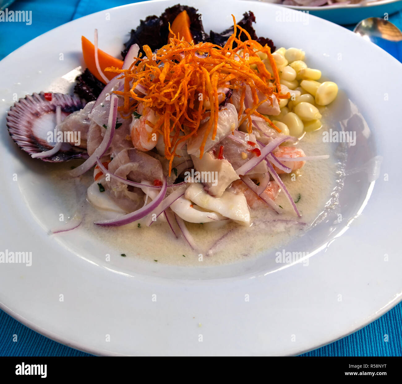 Closeup view to Ceviche, Traditional peruvian dish, Peru Stock Photo ...
