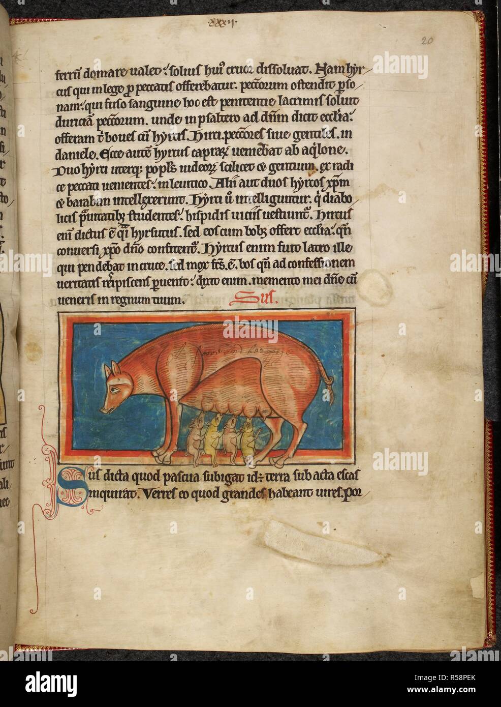 Bestiary manuscript hi-res stock photography and images - Alamy