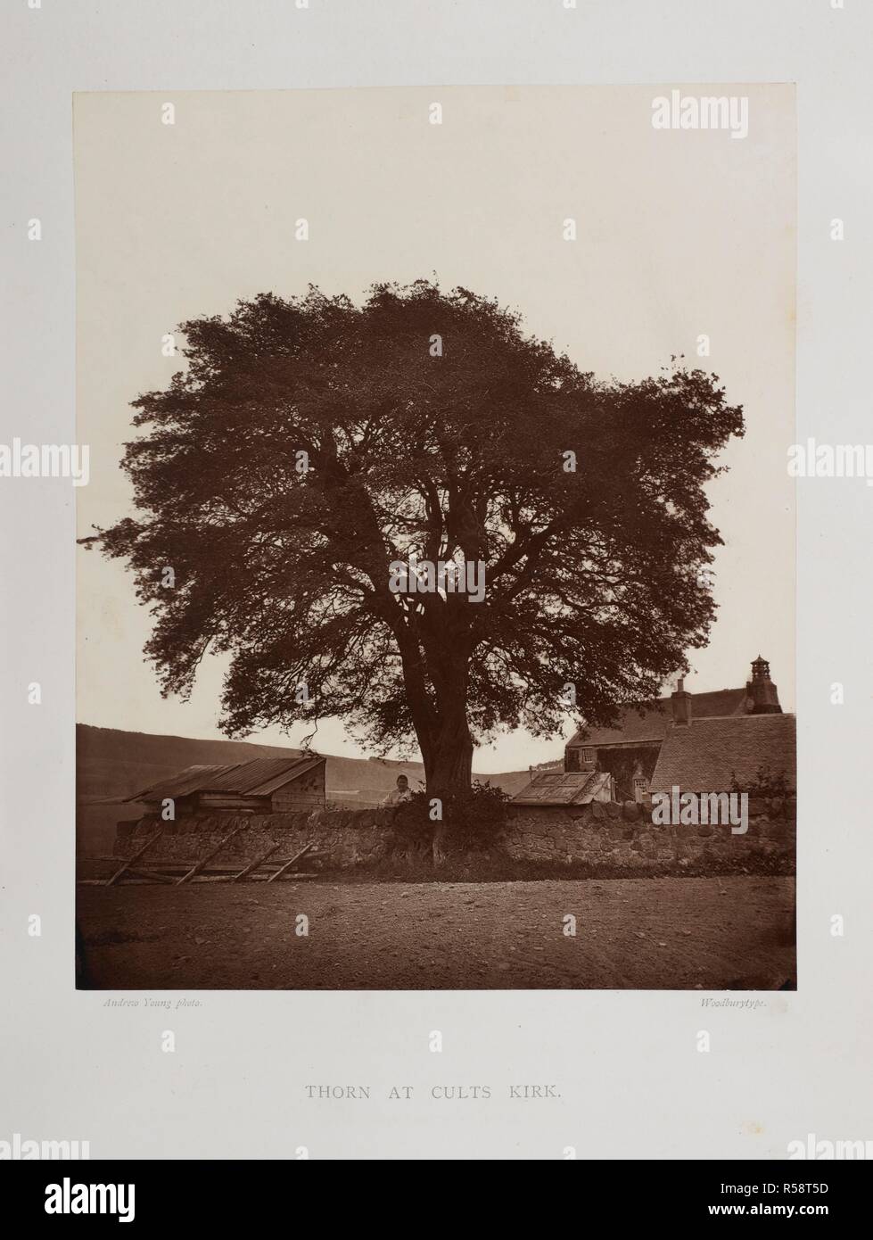 John jeffrey hi-res stock photography and images - Alamy