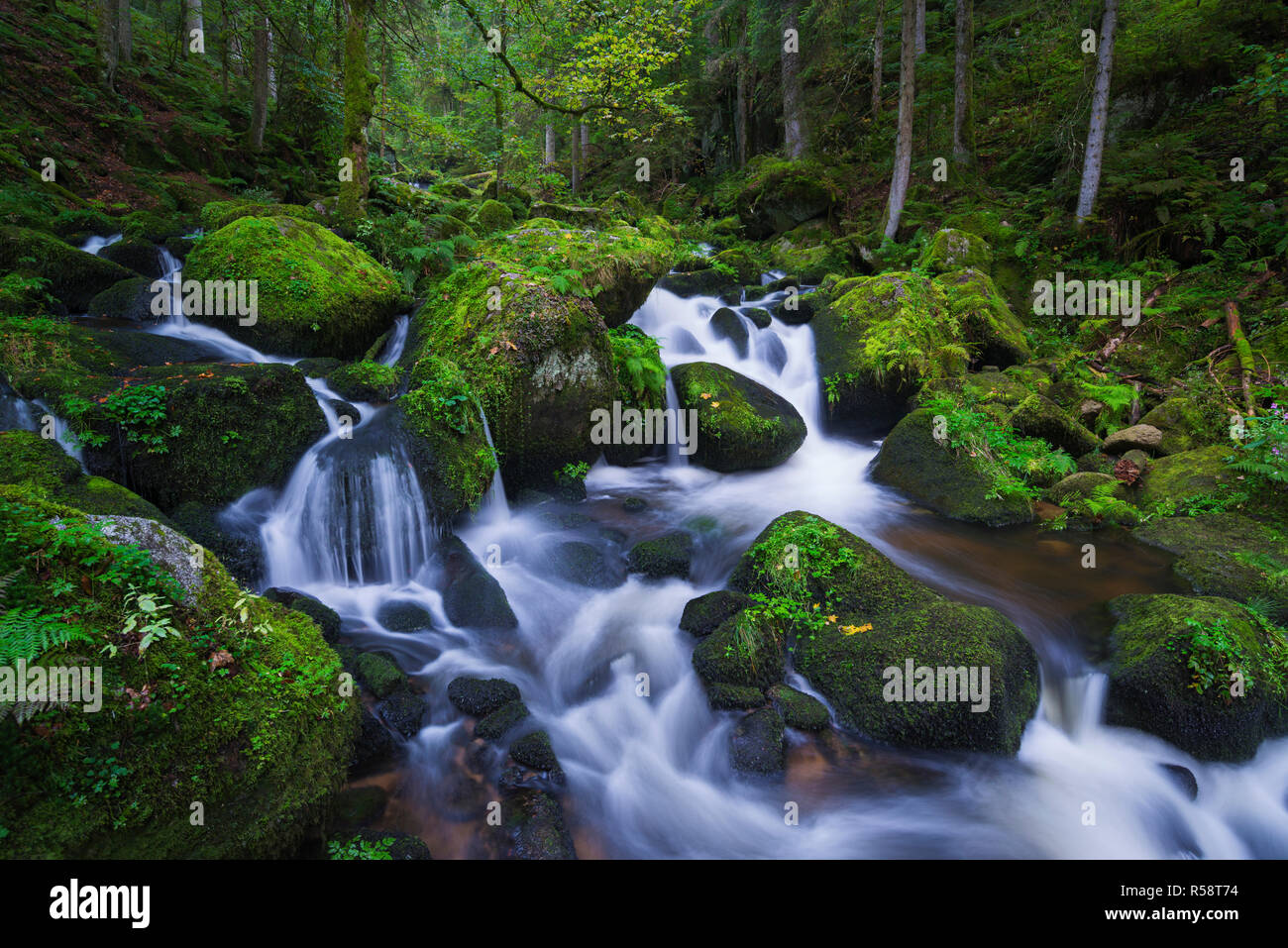 Upper course of the Triberg waterfalls in blue hour, Triberg, Black ...