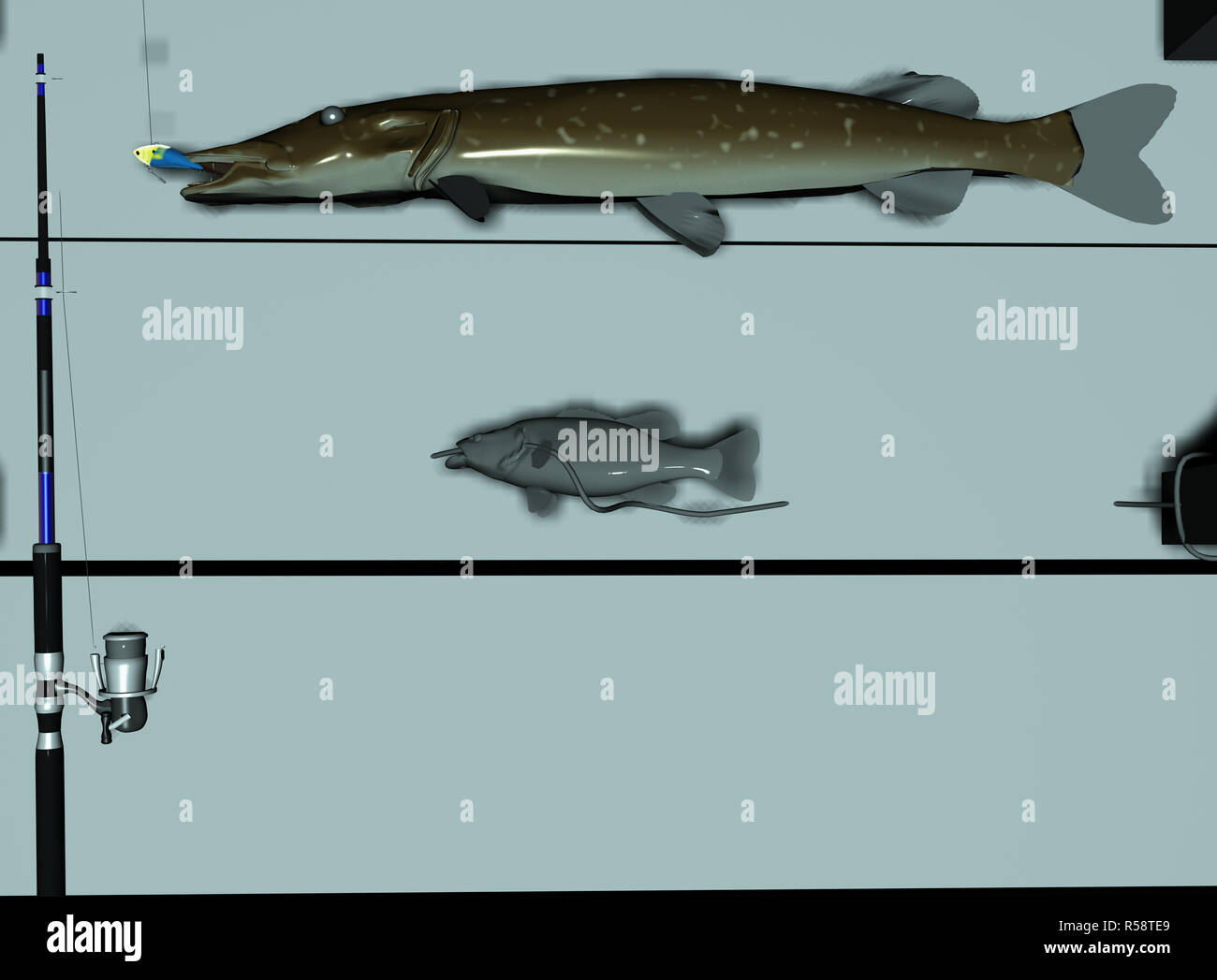 Giant Pike High Resolution Stock Photography and Images - Alamy