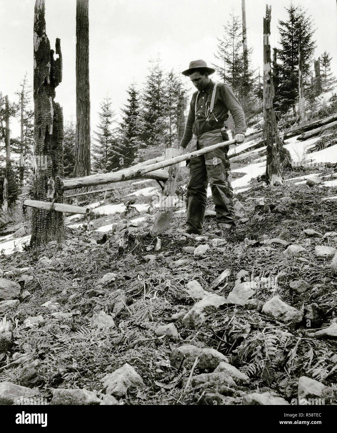 Worker- forest Service, early 1900s Stock Photo - Alamy