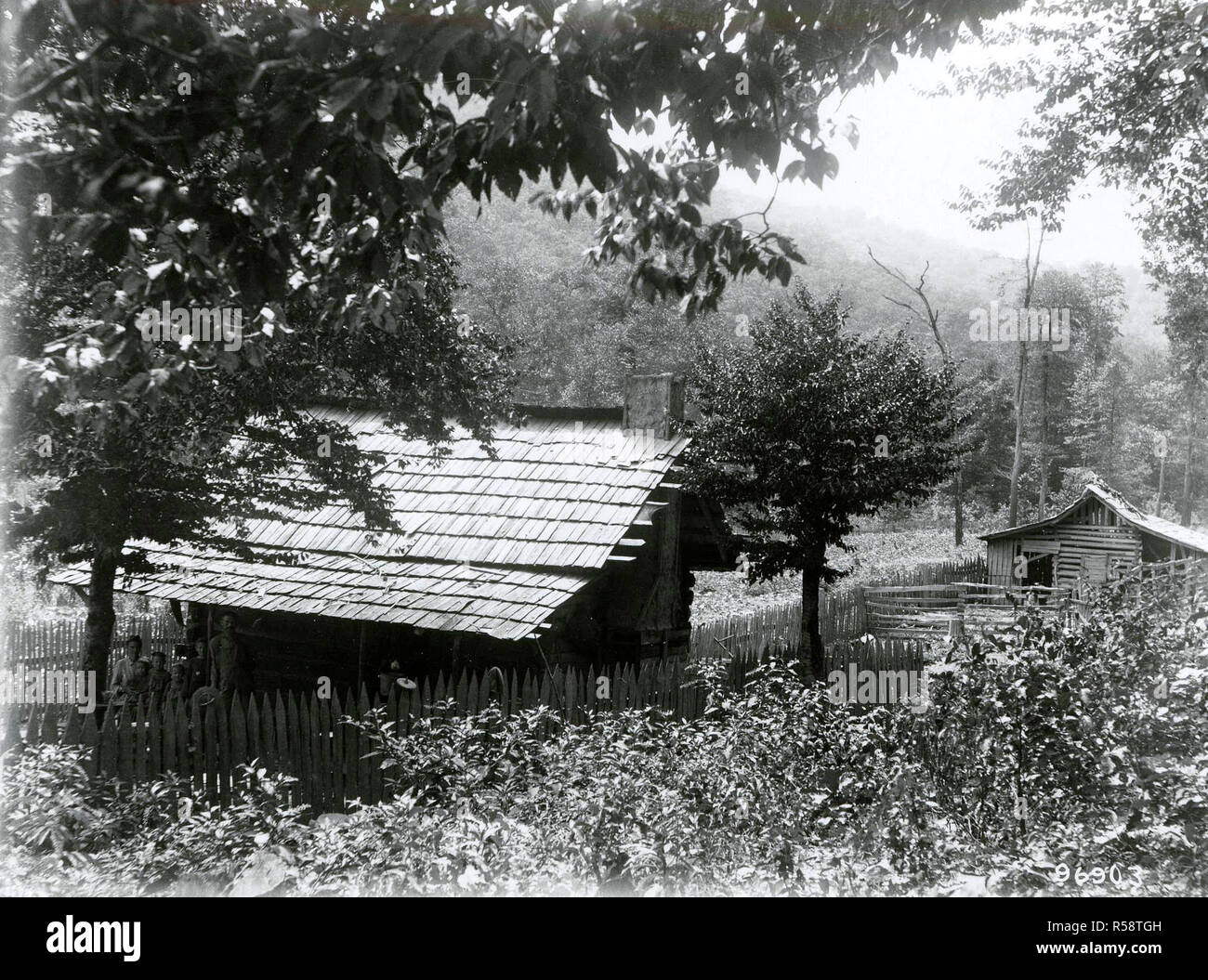 Occupied homestead on Forest Bureau land in early 1900s Stock Photo - Alamy