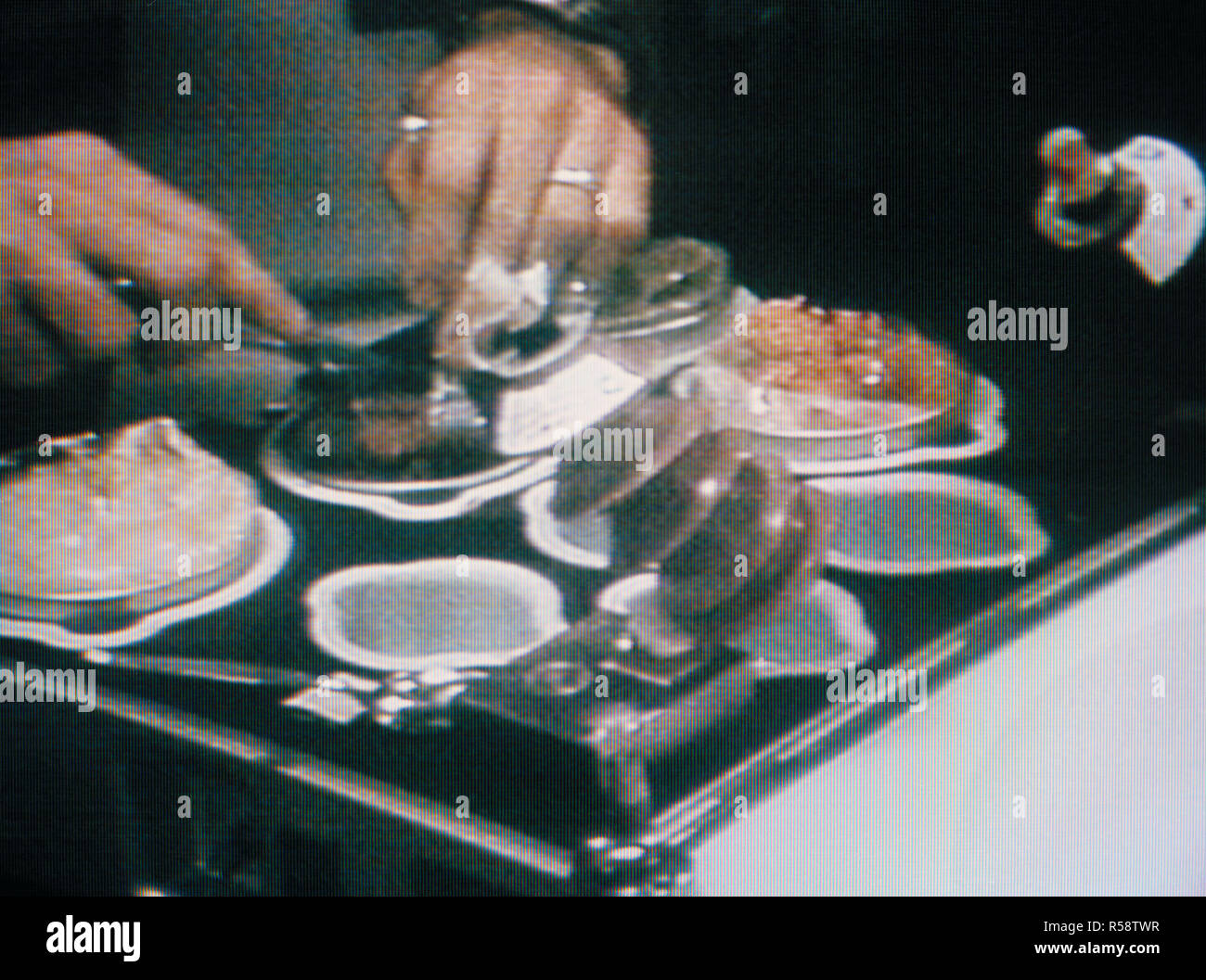 Skylab 3 pilot jack lousma hi-res stock photography and images - Alamy