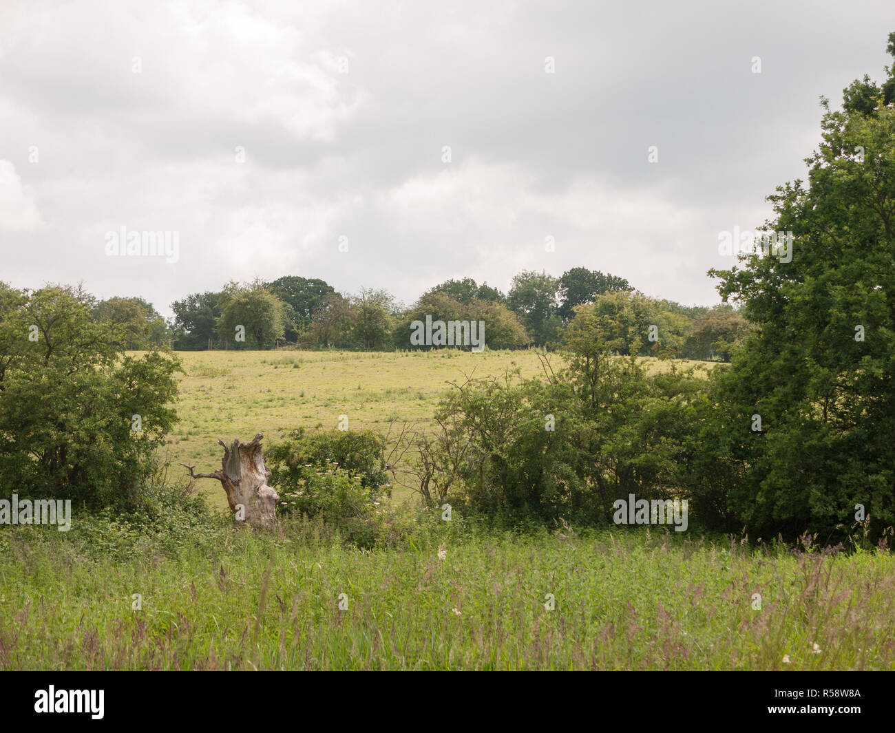 Horizontal scenic scenery outlook beautiful rural outside hi-res stock ...
