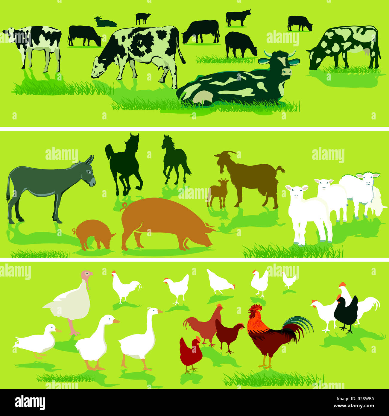 farm animals on the meadow Stock Photo - Alamy
