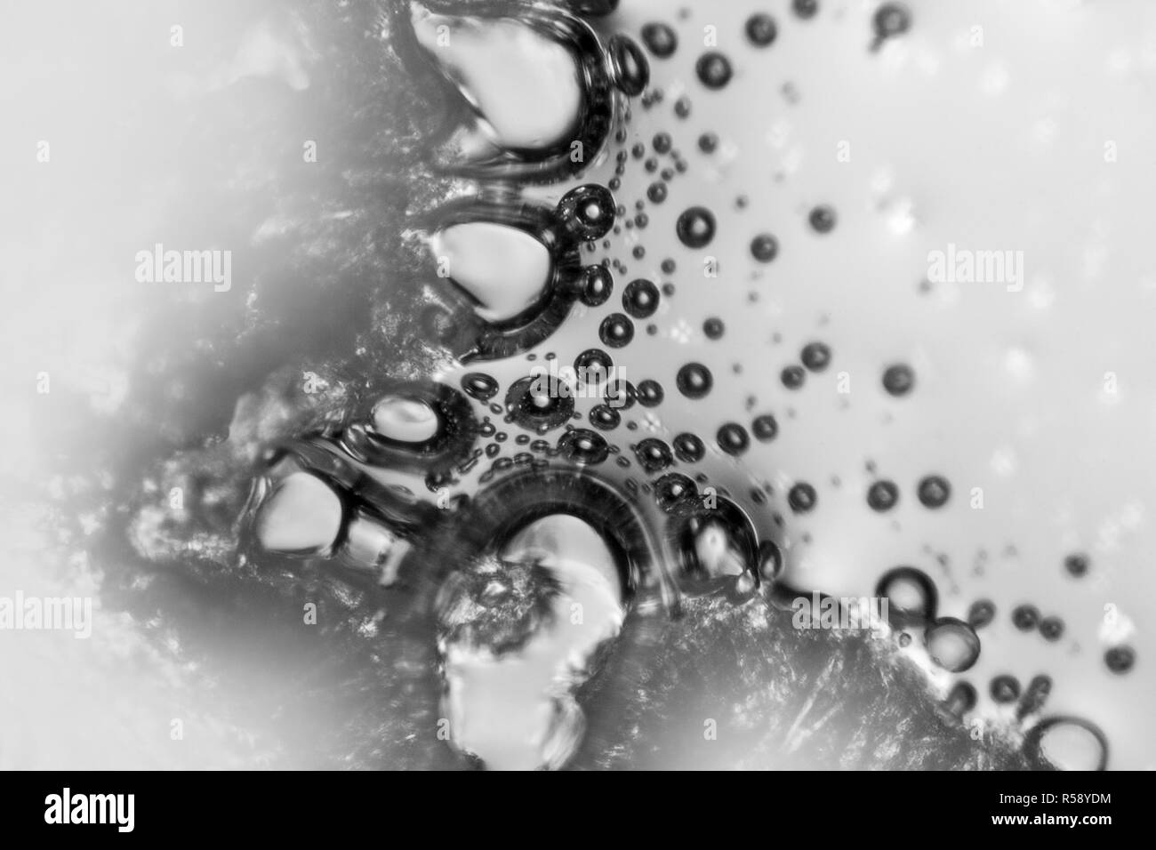 Close up view bubble Black and White Stock Photos & Images - Alamy