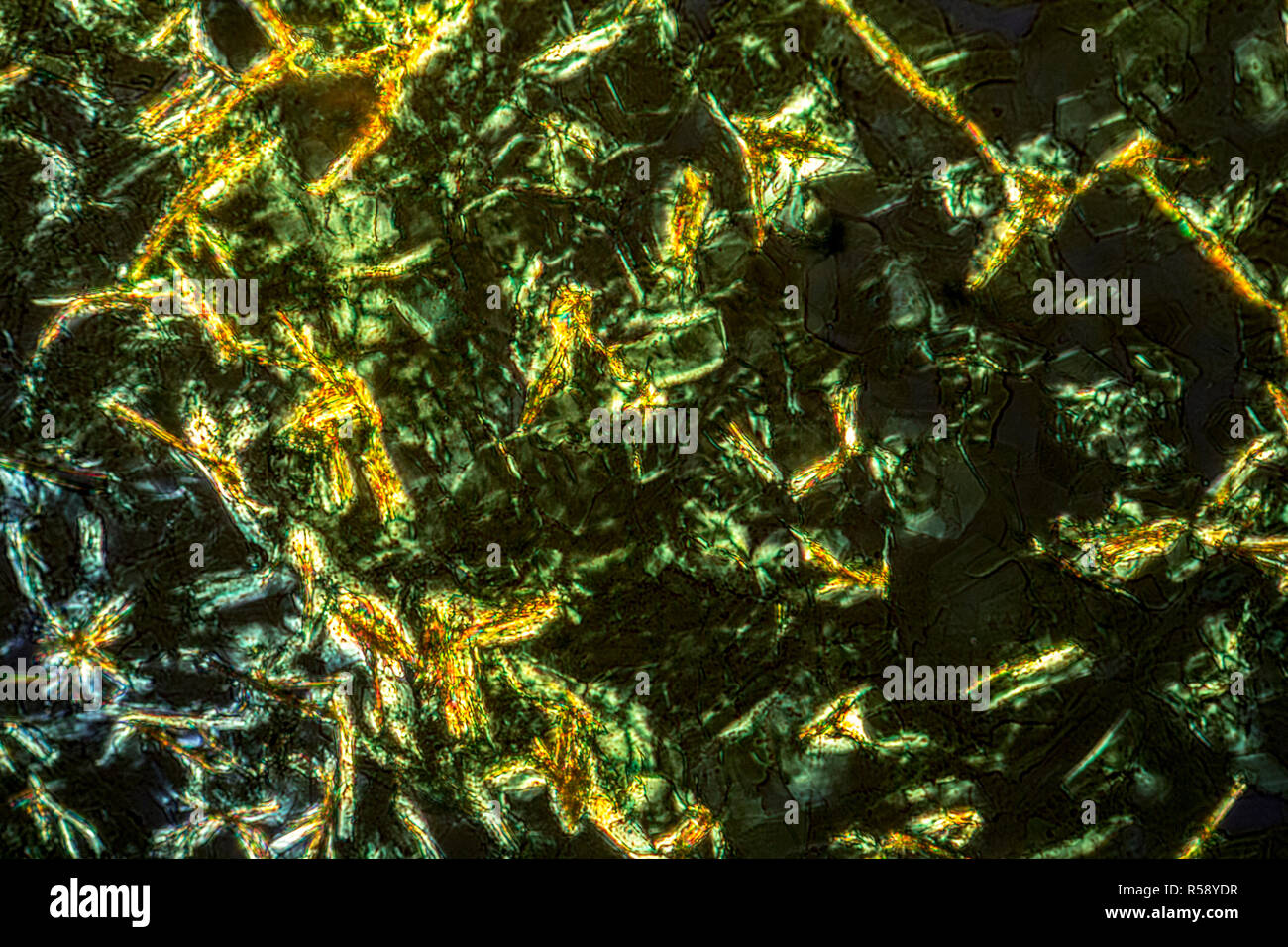 microscopic detail of auramine o microcrystals Stock Photo - Alamy