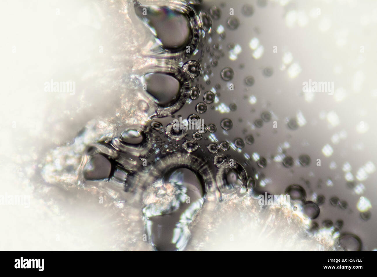 abstract bubble closeup Stock Photo - Alamy
