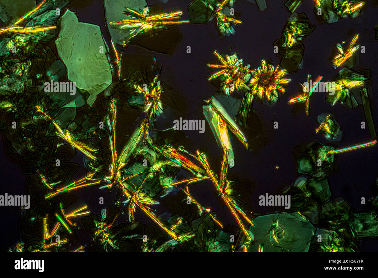 Auramine o hi-res stock photography and images - Alamy