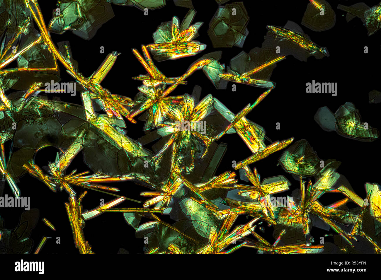 Auramine o hi-res stock photography and images - Alamy