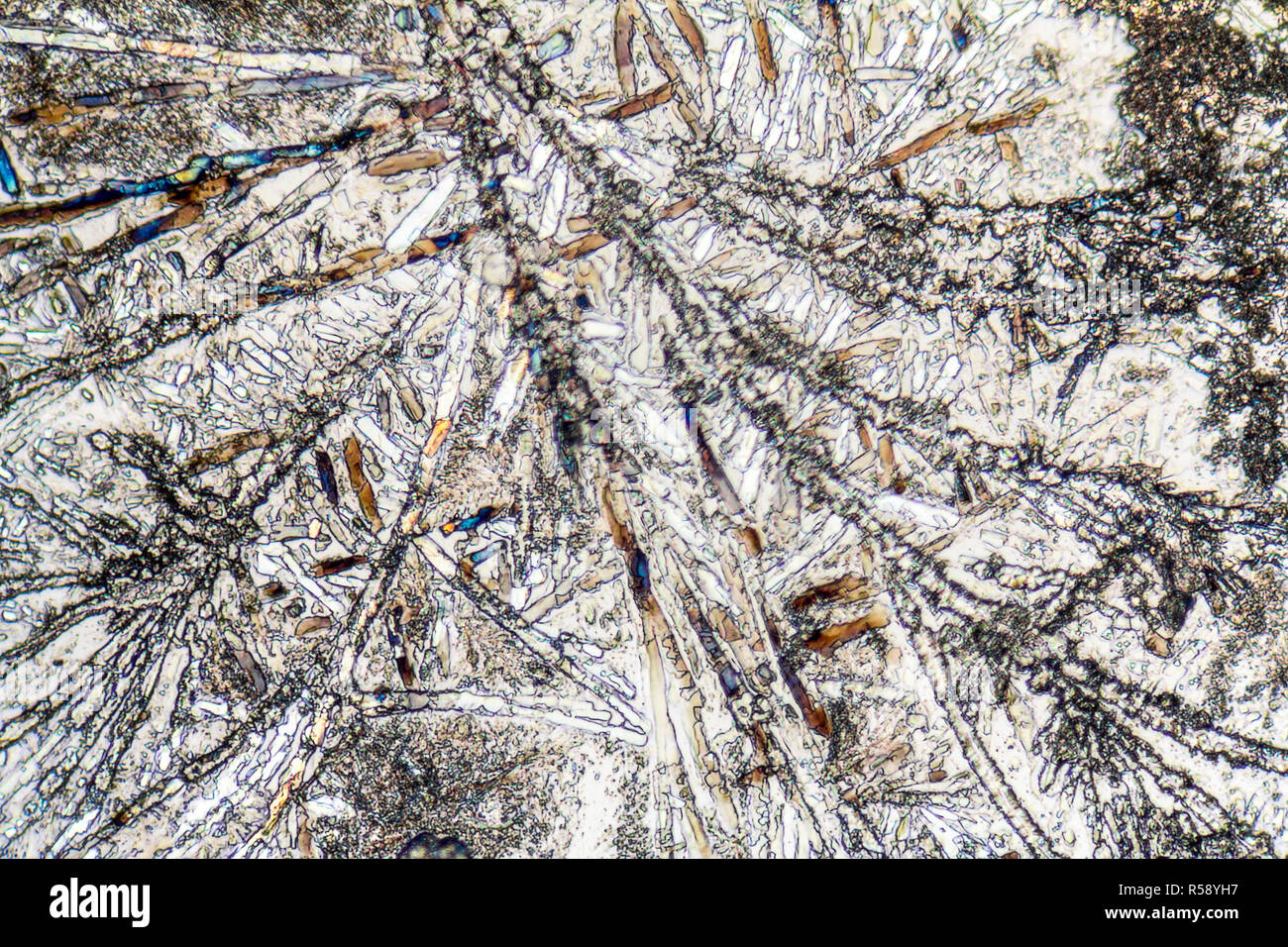 Mikrografie hi-res stock photography and images - Alamy