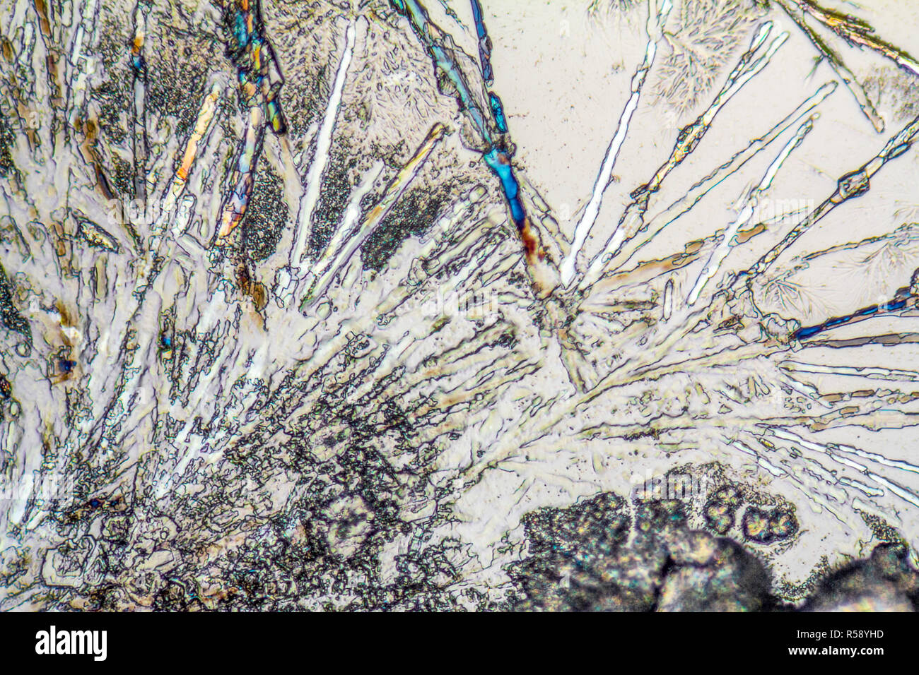 Micrography hi-res stock photography and images - Alamy