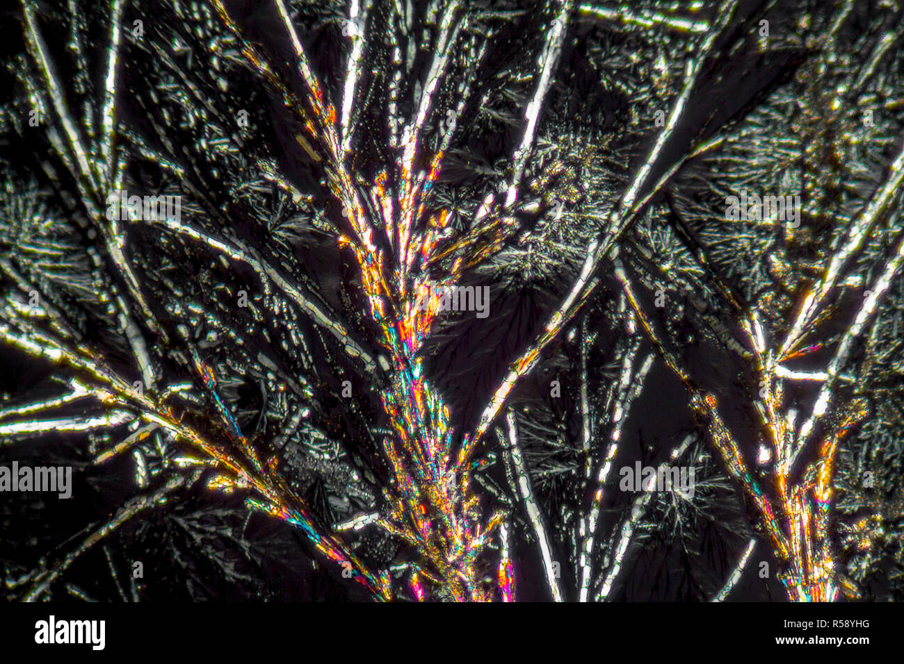 Mikrografie hi-res stock photography and images - Alamy