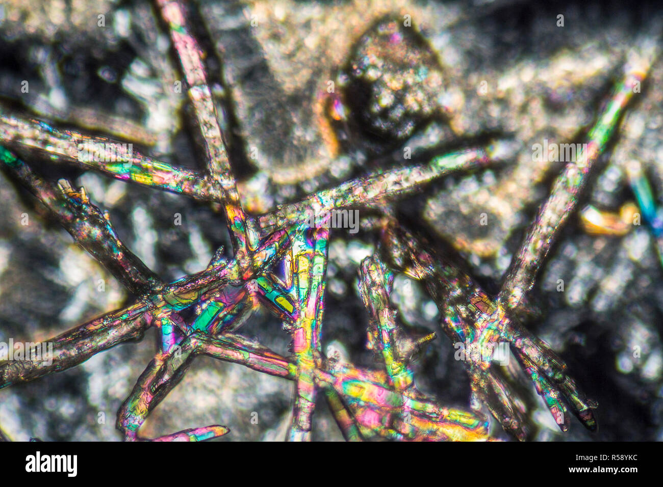 Mikrografie hi-res stock photography and images - Alamy