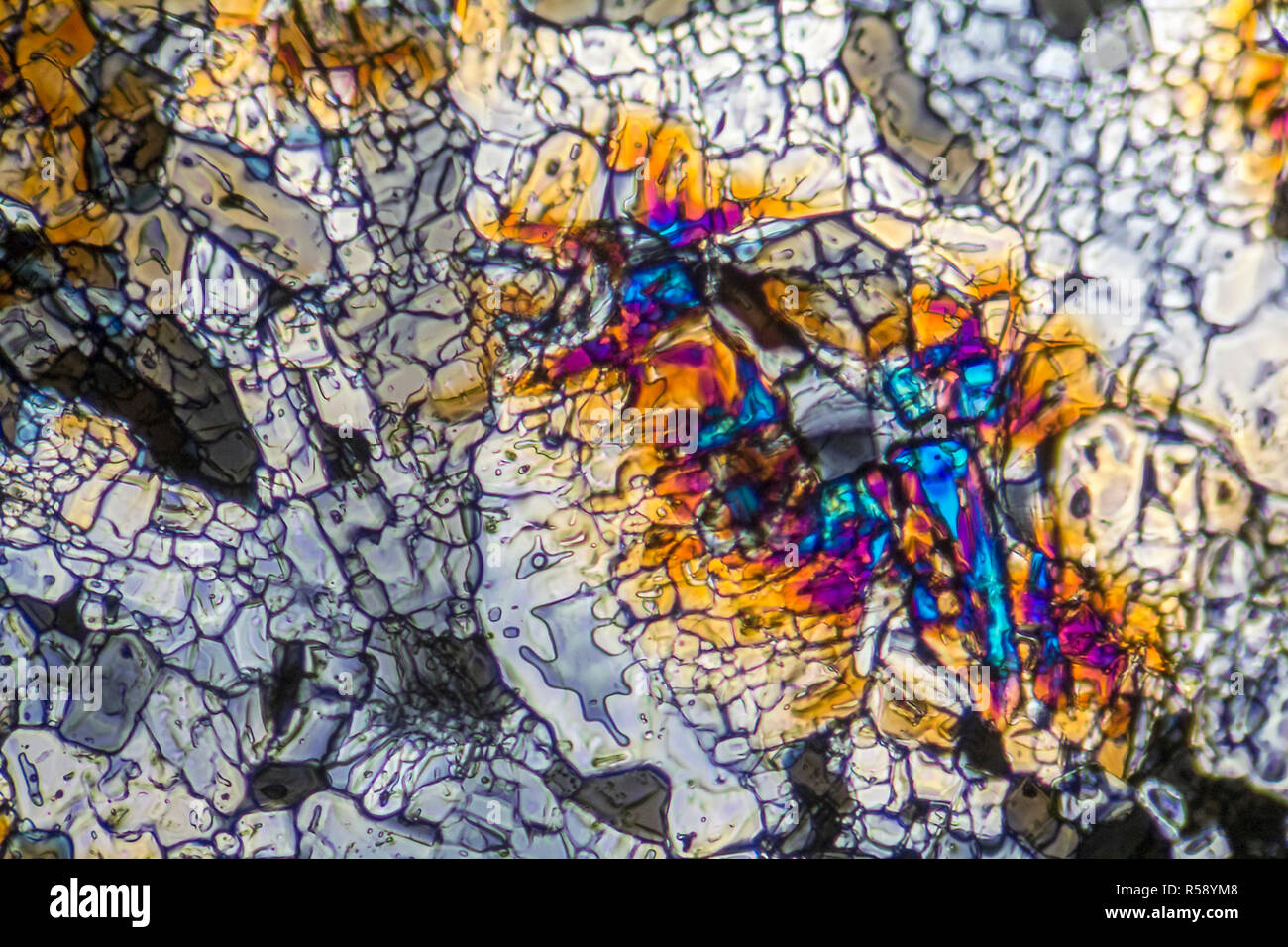 ammonium sulfate microcrystals Stock Photo - Alamy