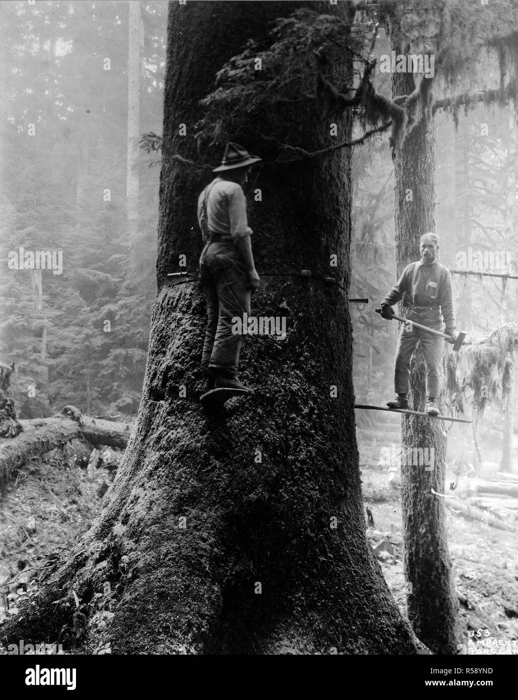 Early 1900s logging industry hi-res stock photography and images - Alamy