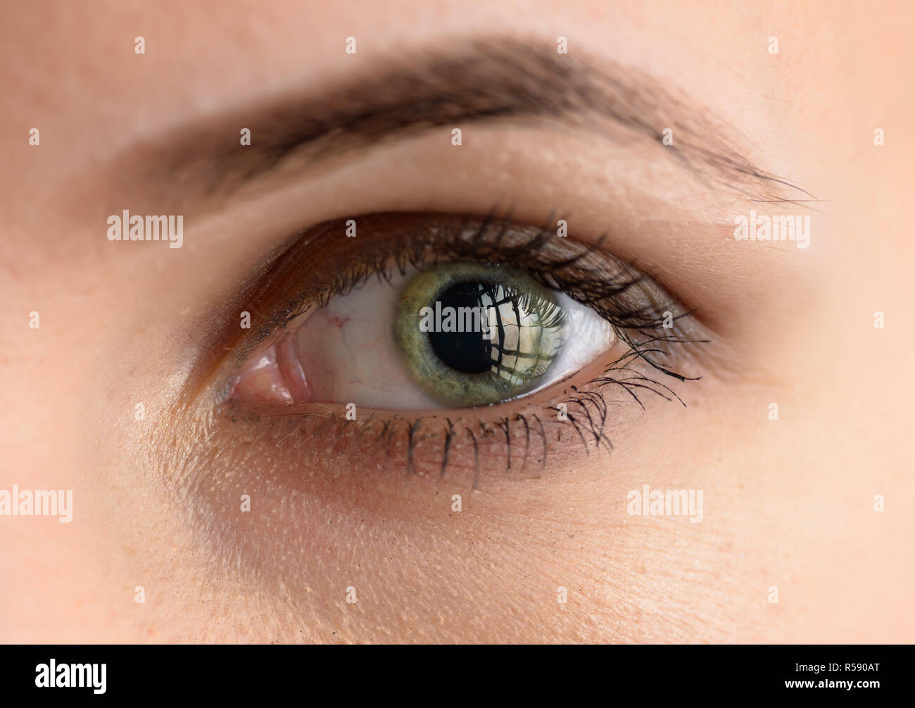 Human Eye And Reflection Stock Photos & Human Eye And Reflection Stock ...