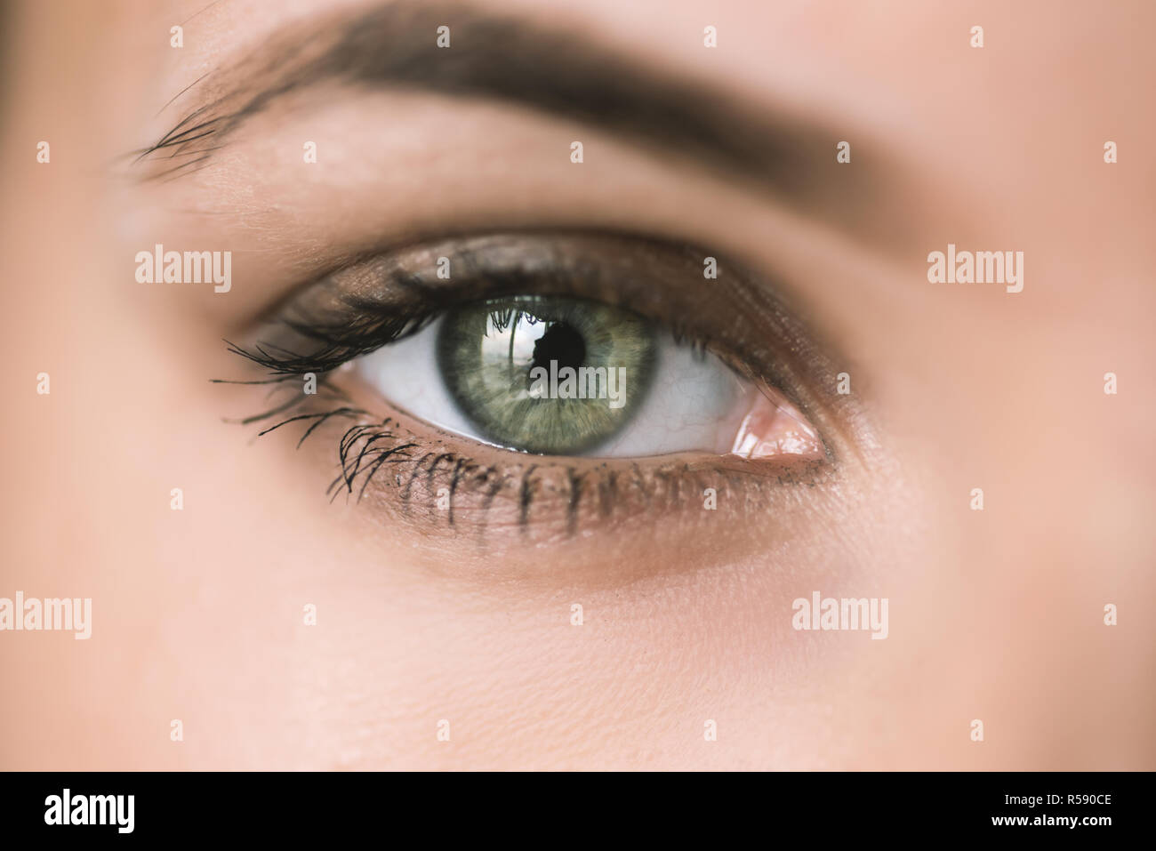 Human green eye with reflection. Macro shot Stock Photo - Alamy
