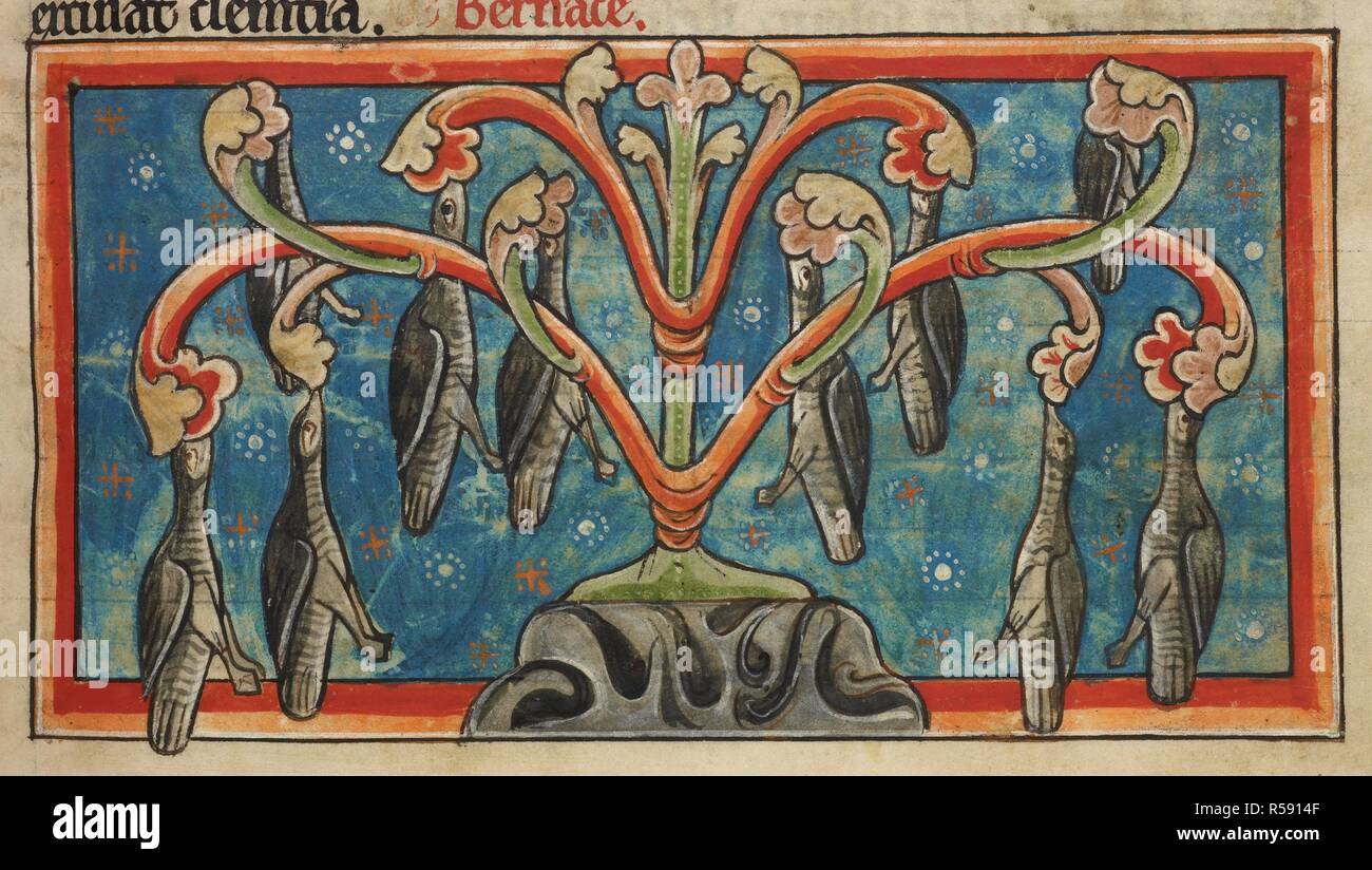 Bestiary gerald of wales hi-res stock photography and images - Alamy