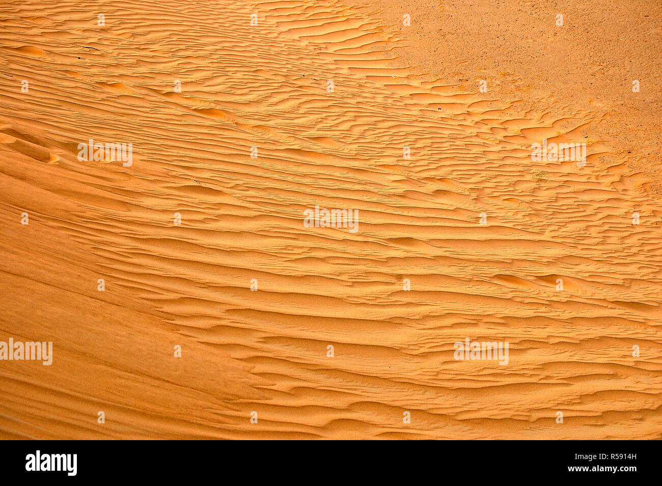 Loose sands hi-res stock photography and images - Alamy