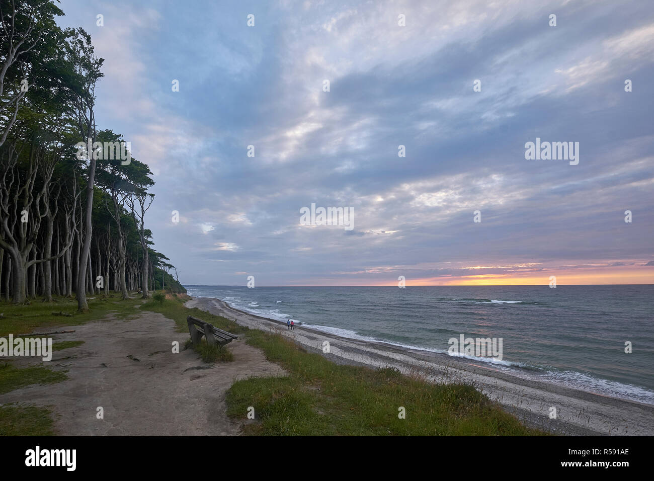 Nienhagen Wood High Resolution Stock Photography and Images - Alamy