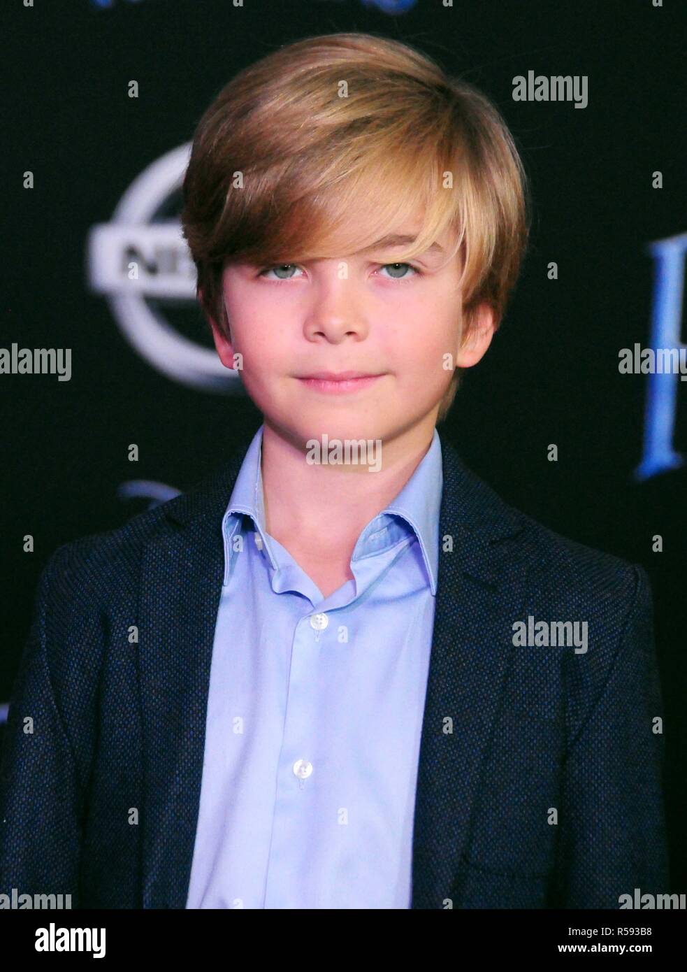 Hollywood, California, USA. 29th November, 2018. Actor Joel Dawson attends the World Premiere of ...