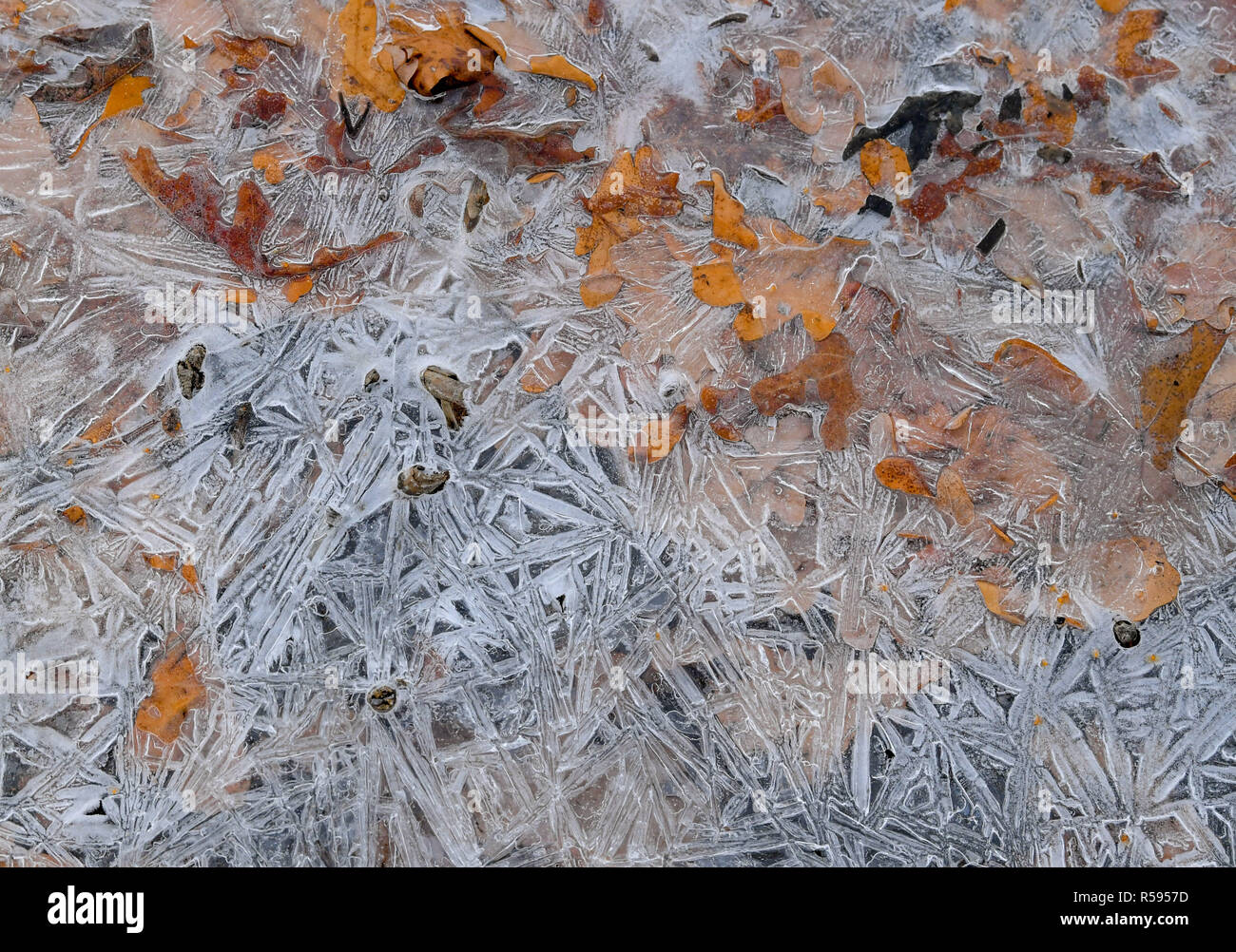 Frozen moat hi-res stock photography and images - Alamy