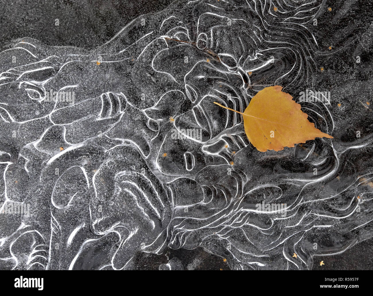 Peitz, Germany. 30th Nov, 2018. Bizarre patterns in the ice have formed ...