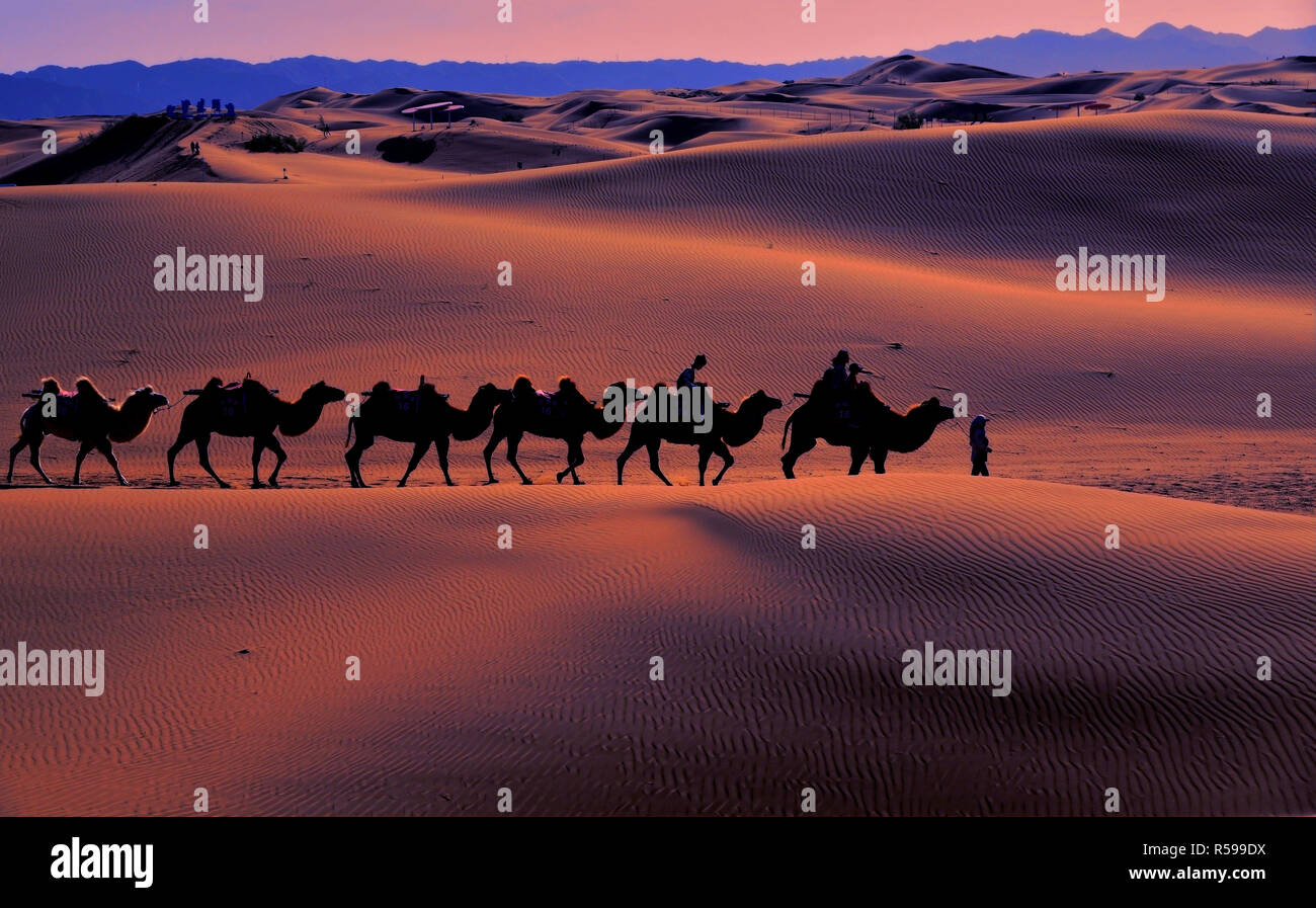 Shapotou hi-res stock photography and images - Alamy