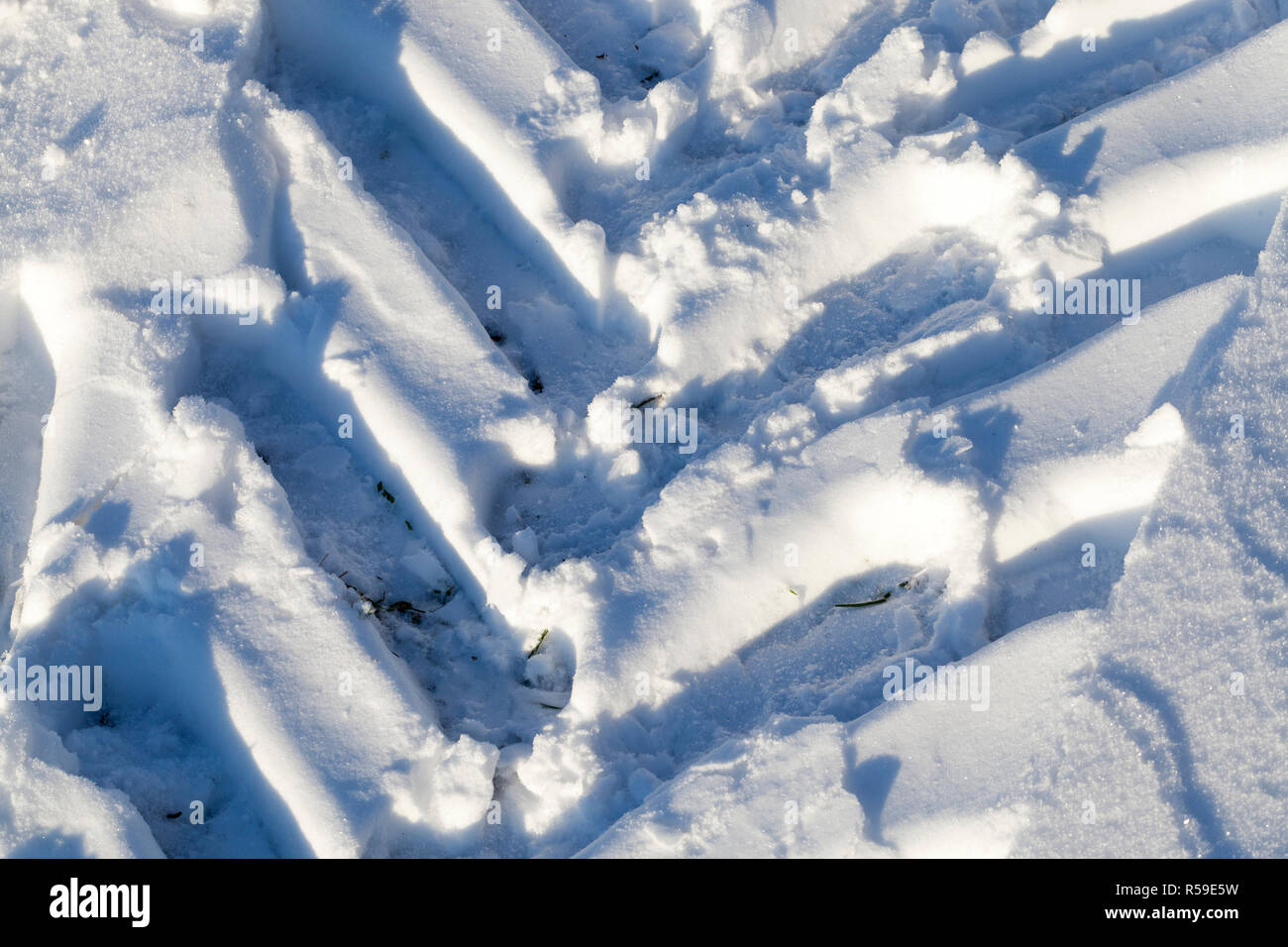 snow photographed in the winter season, which appeared after a snowfall ...