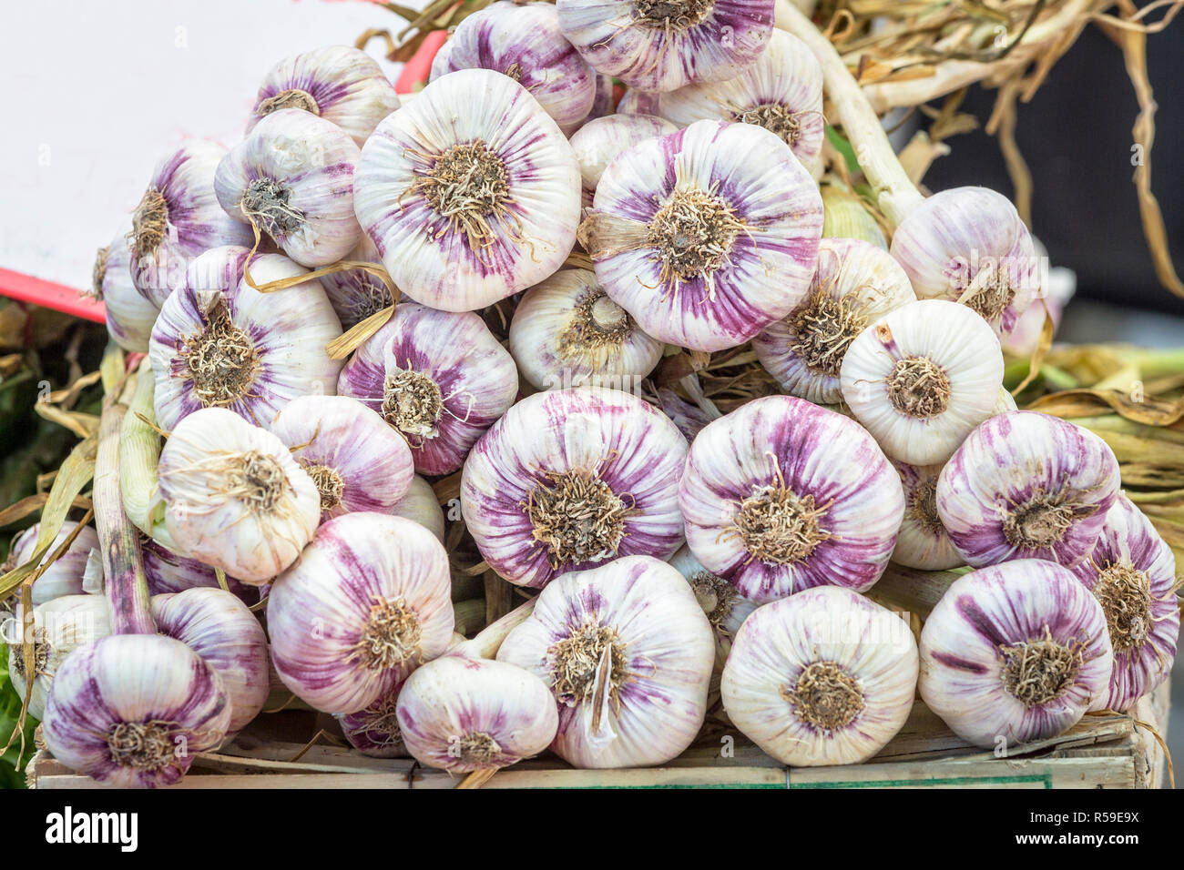 garlic on a market in france Stock Photo - Alamy