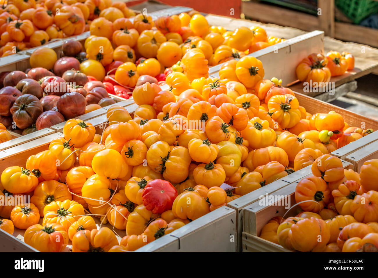 Ripe tomatos on market hi-res stock photography and images - Alamy