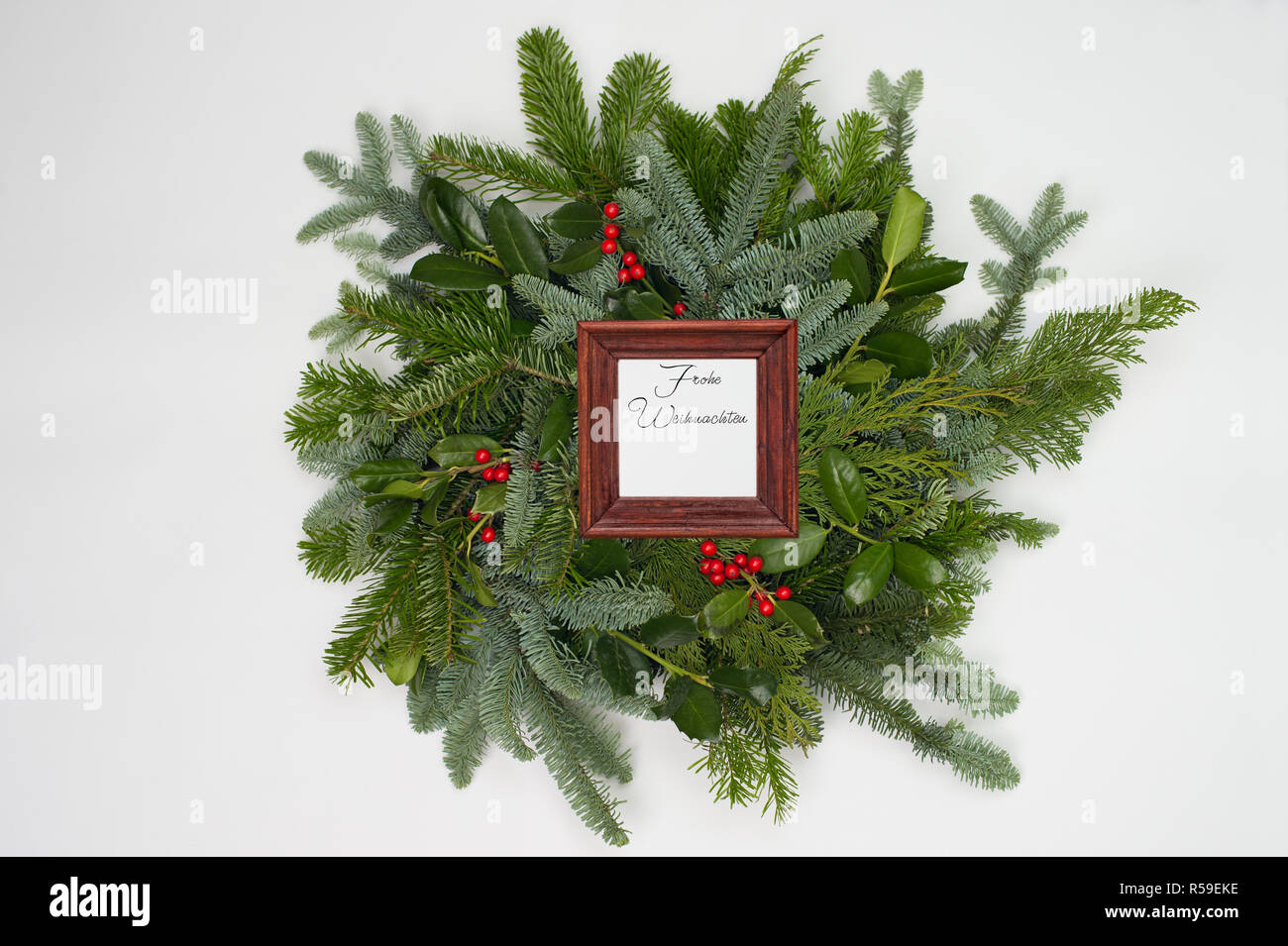 A circle of branches of different fir varieties. Green and blue firs. A ...