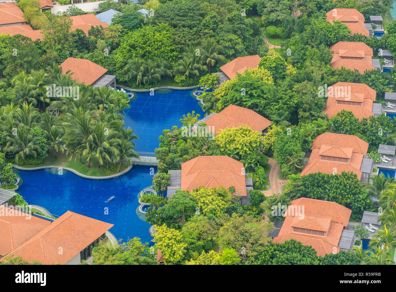 Bird's eye view of swimming pool Stock Photo - Alamy