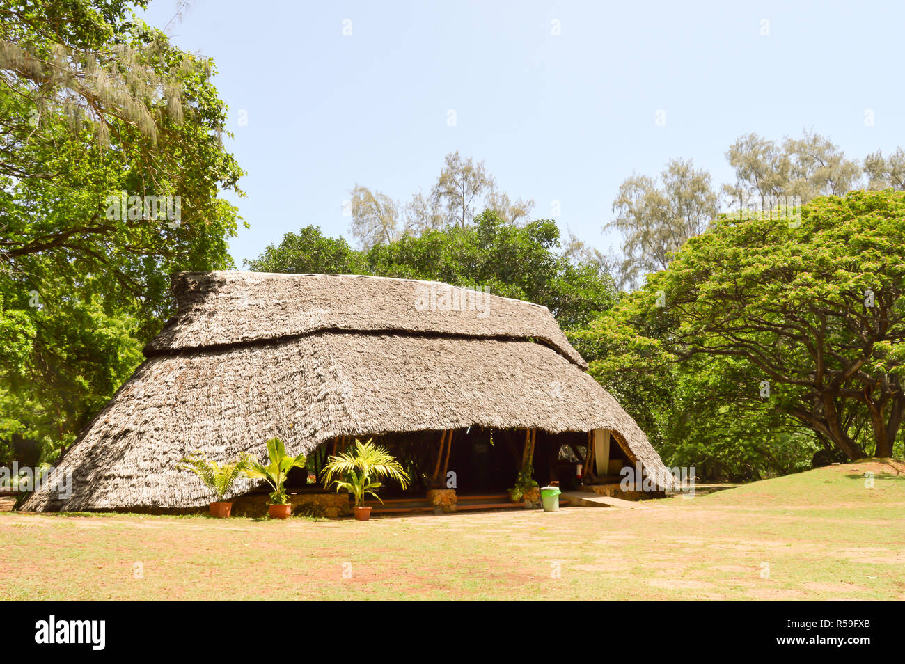 Traditional Habitat in the Forest Stock Photo - Alamy