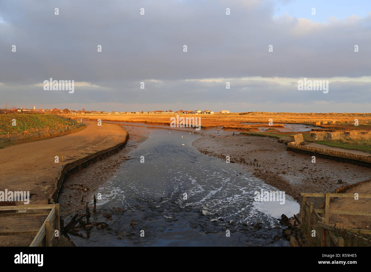 The Flats, Walberswick, Suffolk Coastal district, Suffolk, East Anglia ...