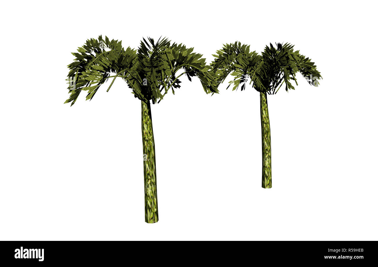 Under plant trees Cut Out Stock Images & Pictures - Alamy