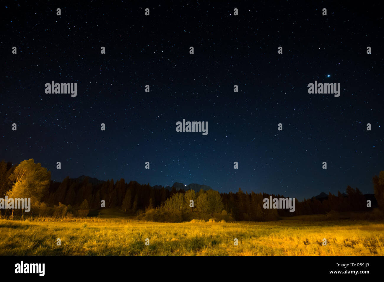 Night landscape under starlight Stock Photo - Alamy