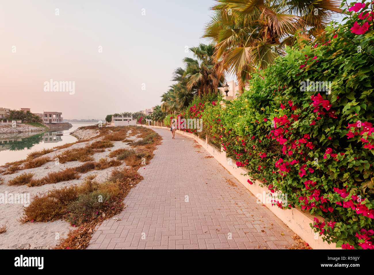 Ras al hamra hi-res stock photography and images - Alamy