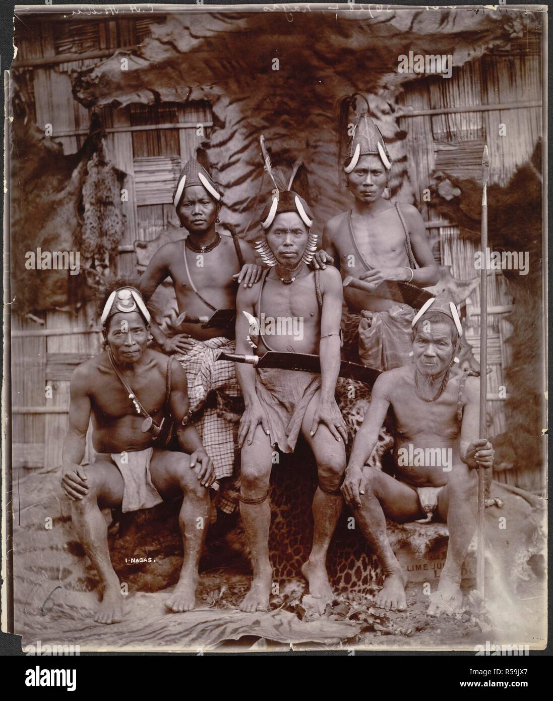 Nagas. A full-length studio portrait of five Naga men, wearing ...