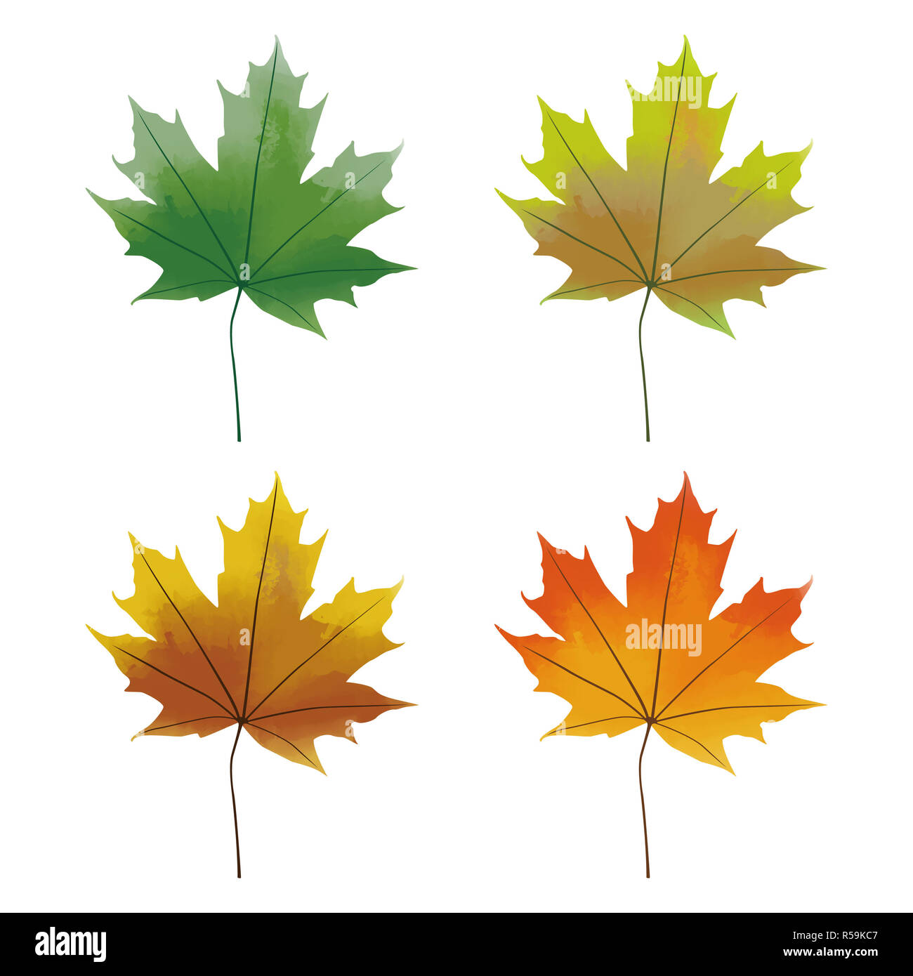 Autumn maple leaves water Cut Out Stock Images & Pictures - Alamy