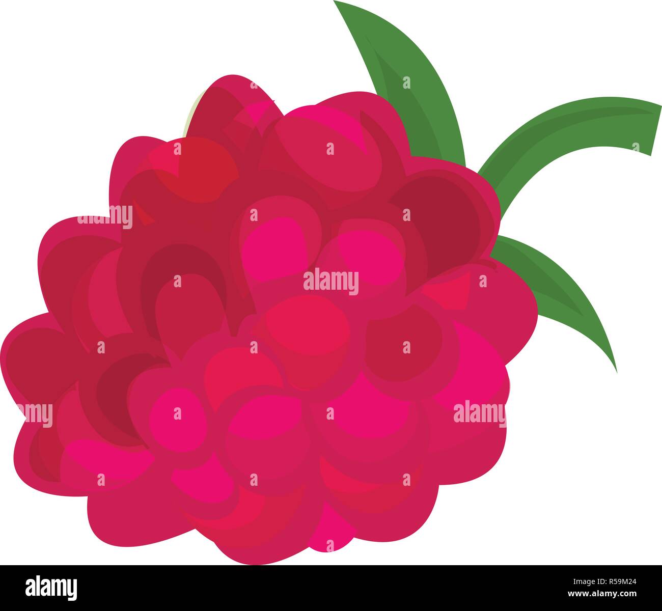 Raspberry icon. Cartoon of raspberry vector icon for web design ...