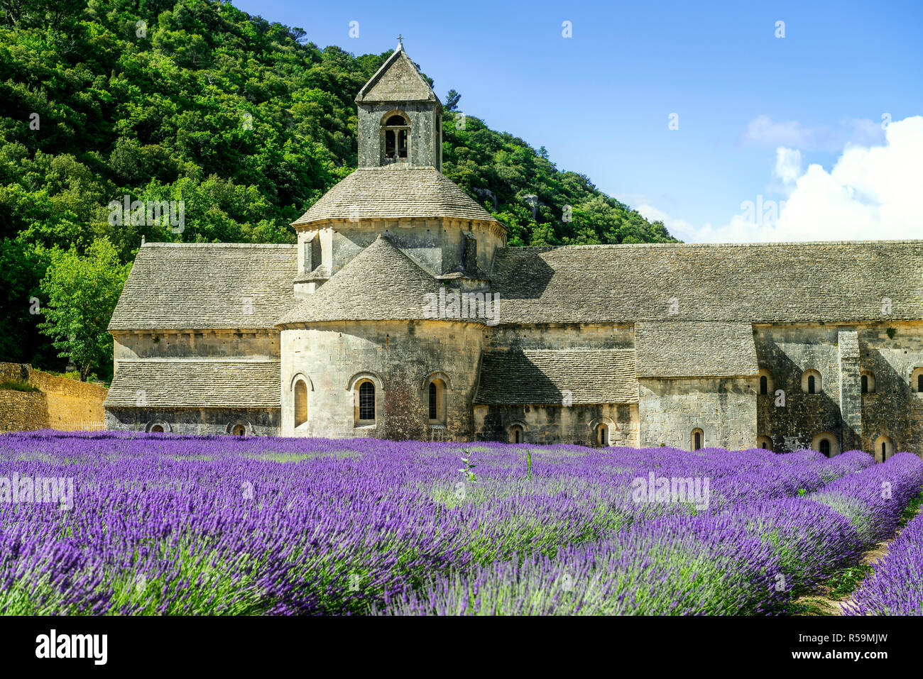 Abbey of Senanque Stock Photo - Alamy