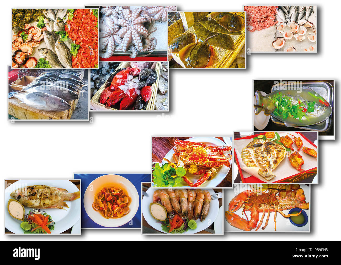 Sea food collage with raw fish and restaurant dishes Stock Photo - Alamy