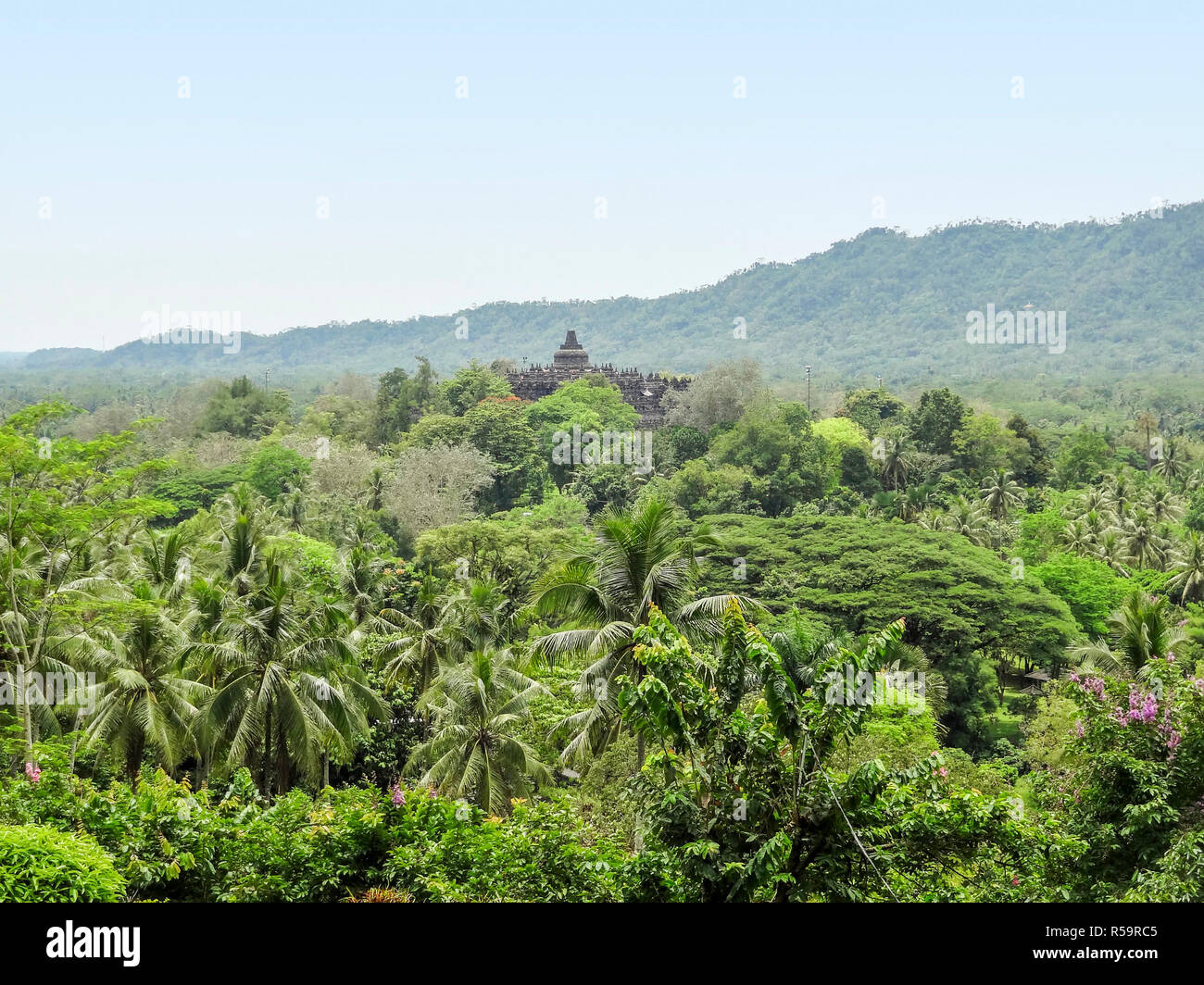 borobudur in java Stock Photo - Alamy