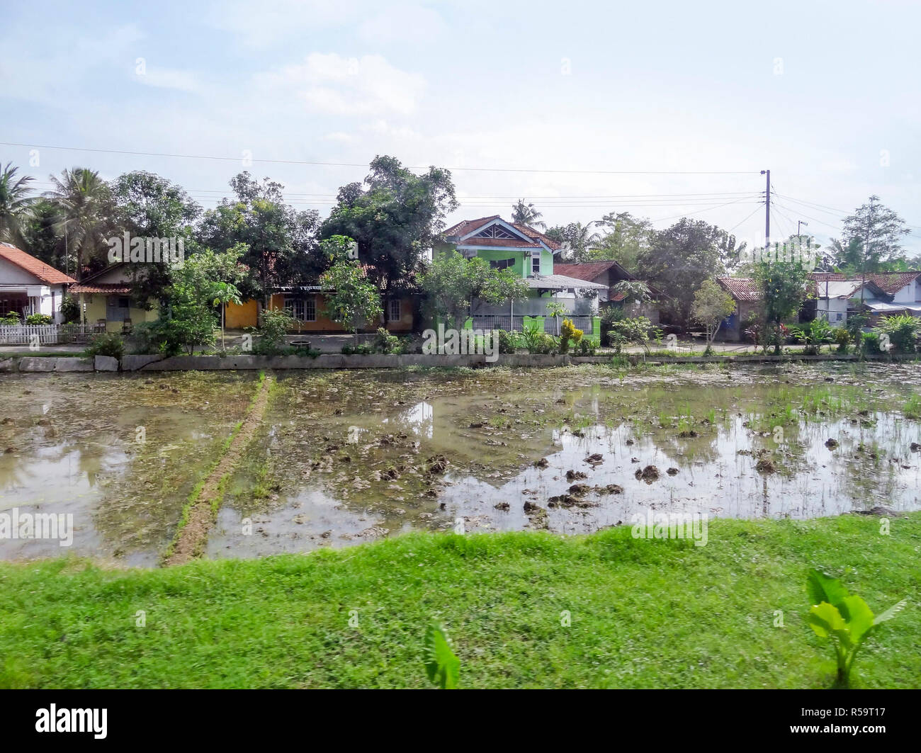 river in java Stock Photo - Alamy