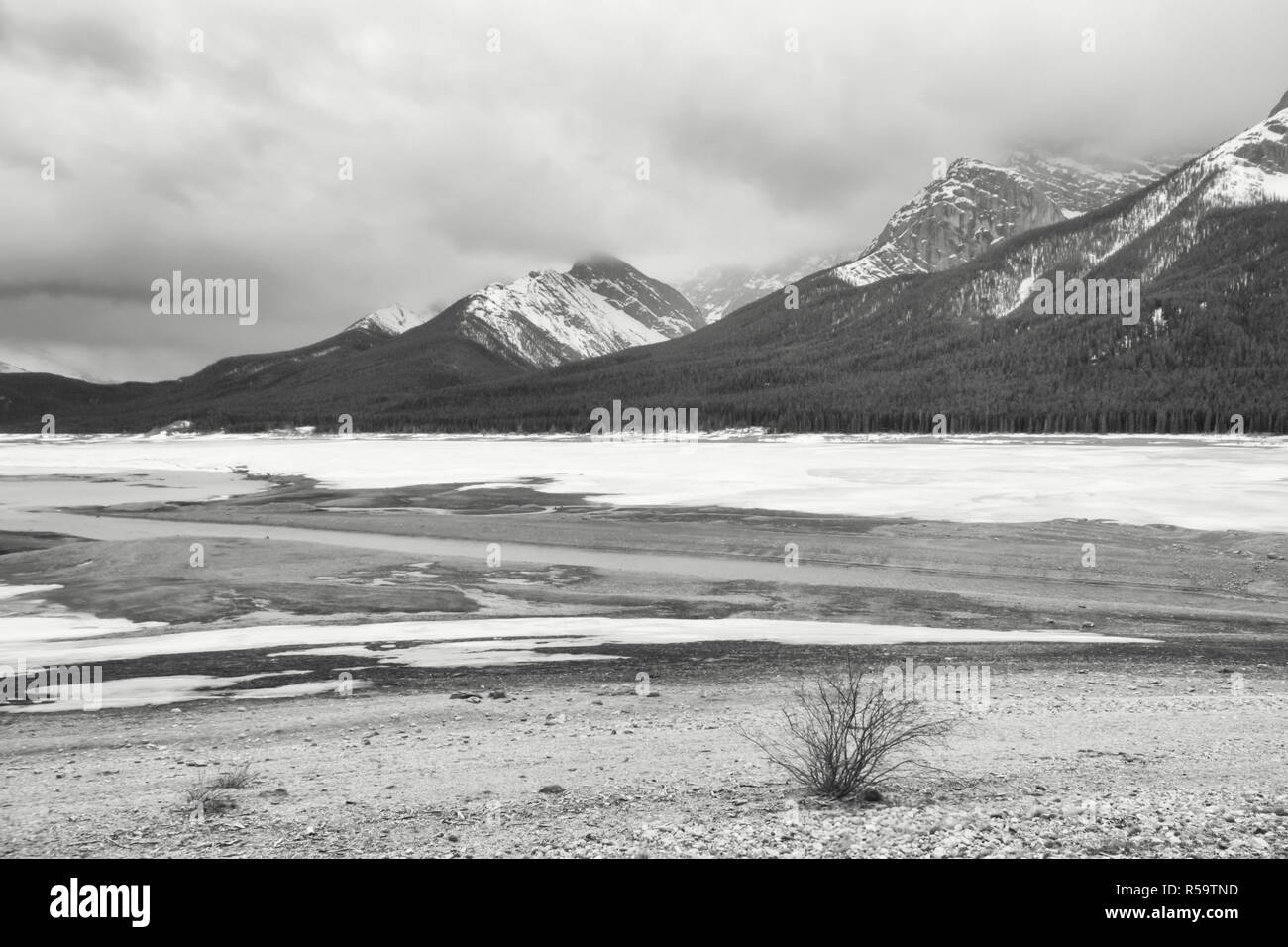 Spray Lake Reservoir in Winter Stock Photo - Alamy