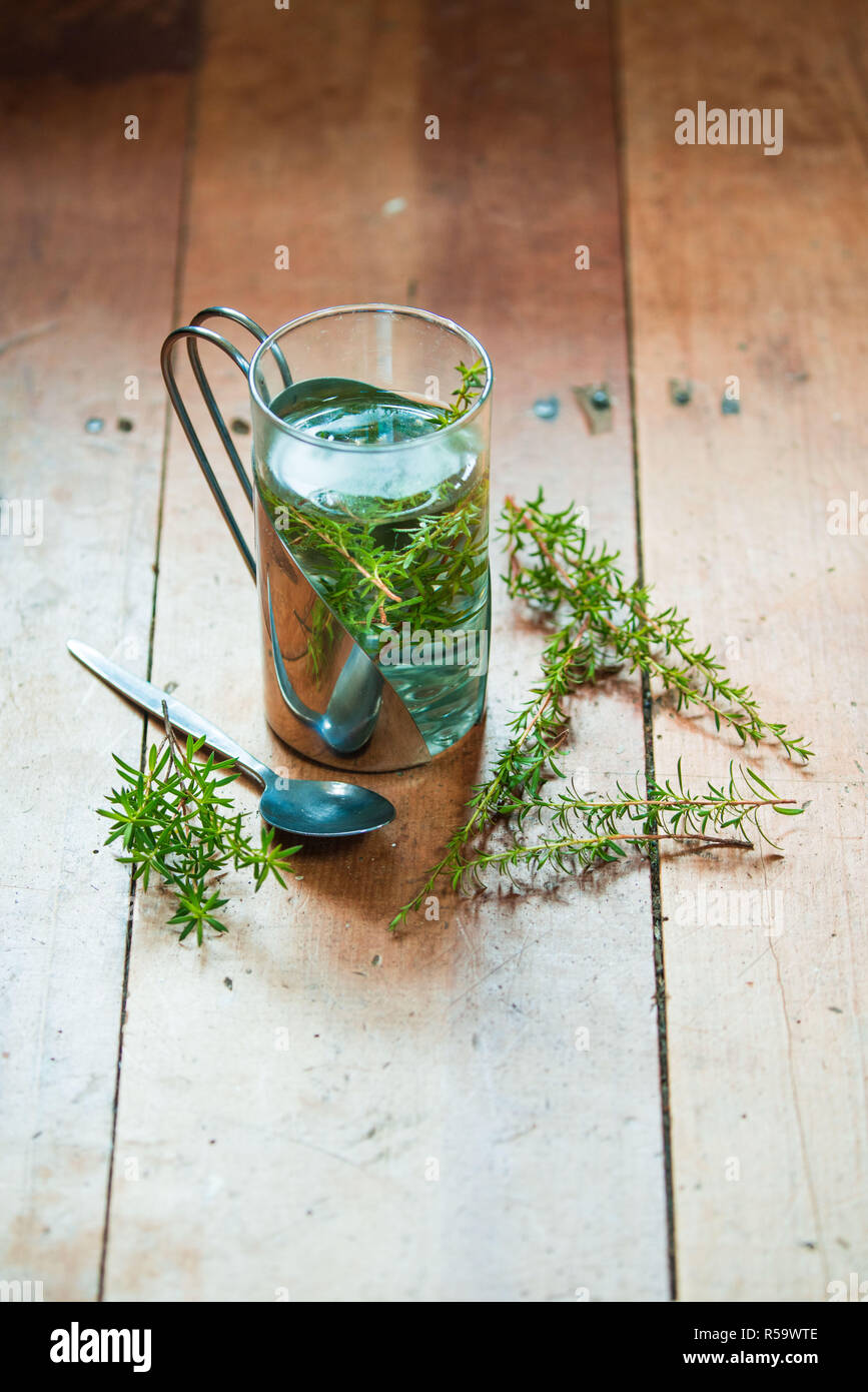 Tea of leaves of Manuka (Leptospermum scoparium Stock Photo - Alamy